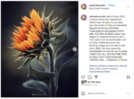 30 Most Influential Macro Photographers to Follow in 2026